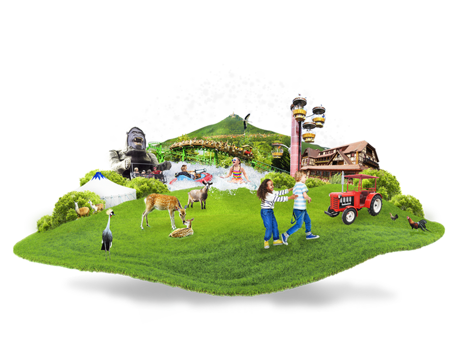 LE PARC DES CIGOGNES ET ATTRACTIONS CIGOLAND
